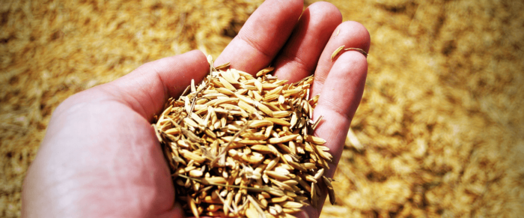 FGIS Grain Inspection Orientation - GEAPS